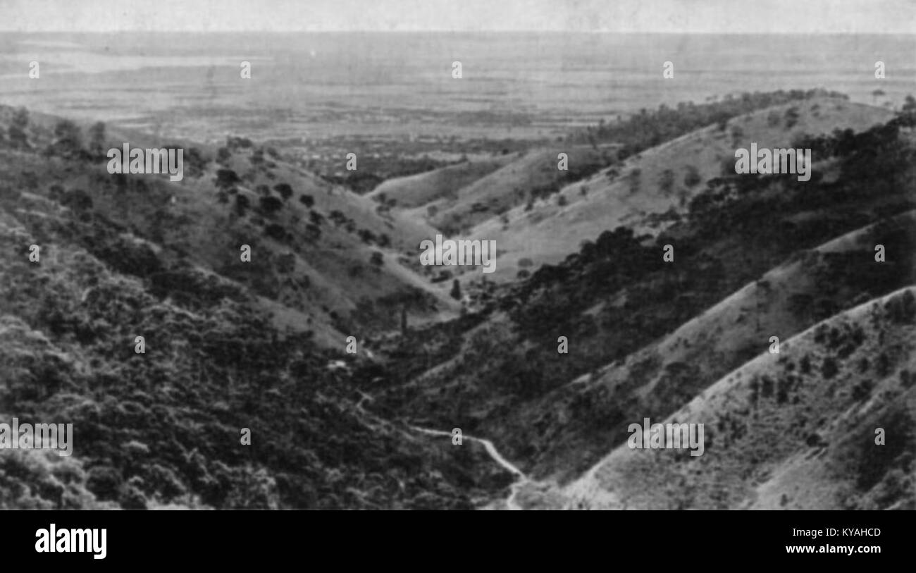 Photograph of Waterfall Gully in 1910, capturing the natural landscape ...