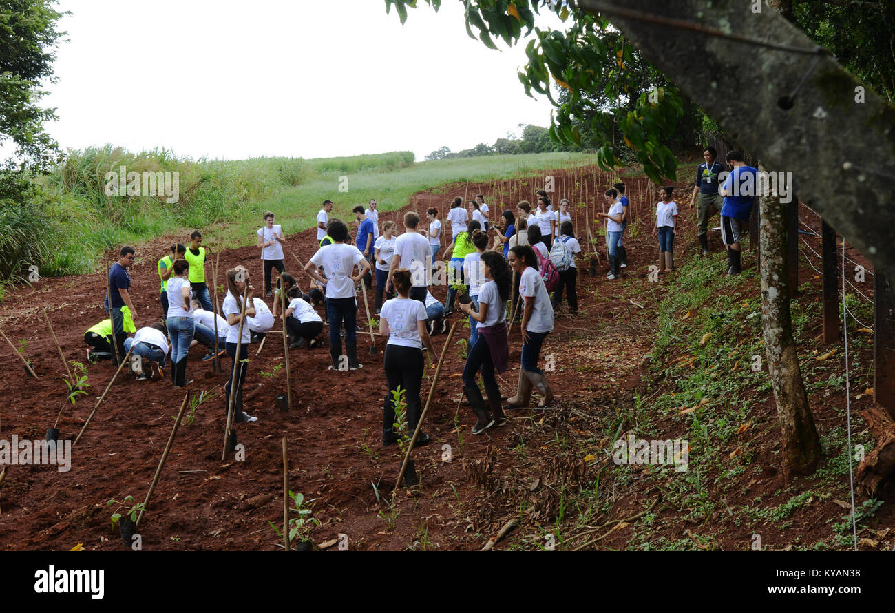 The photograph documents the tree-planting event 'Mata Santa Genebra ...