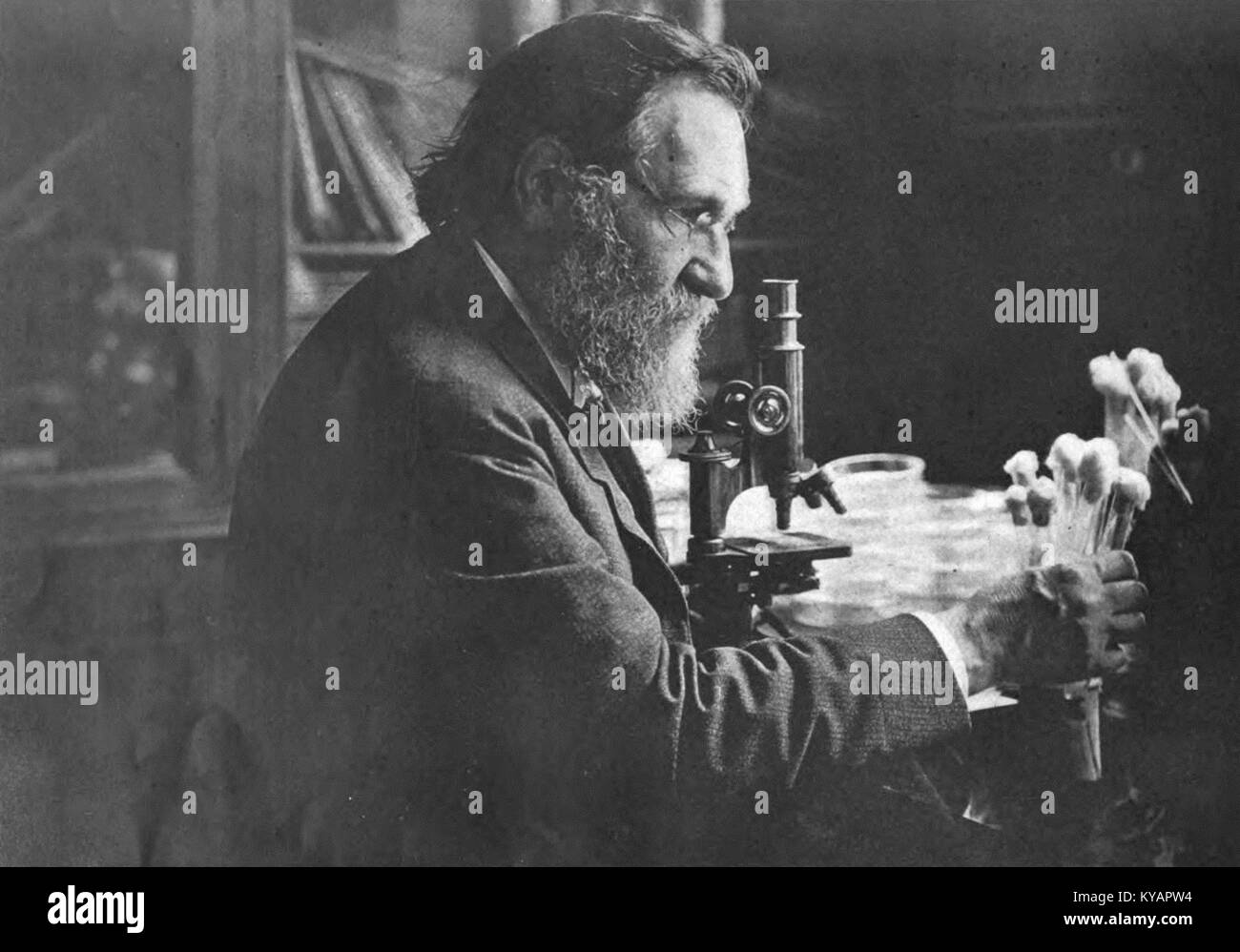 Professor Élie Metchnikoff was a pioneering Russian biologist known for ...