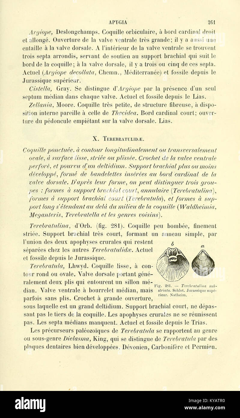 A page from the *Manuel de Paléontologie*, detailing fossil specimens ...