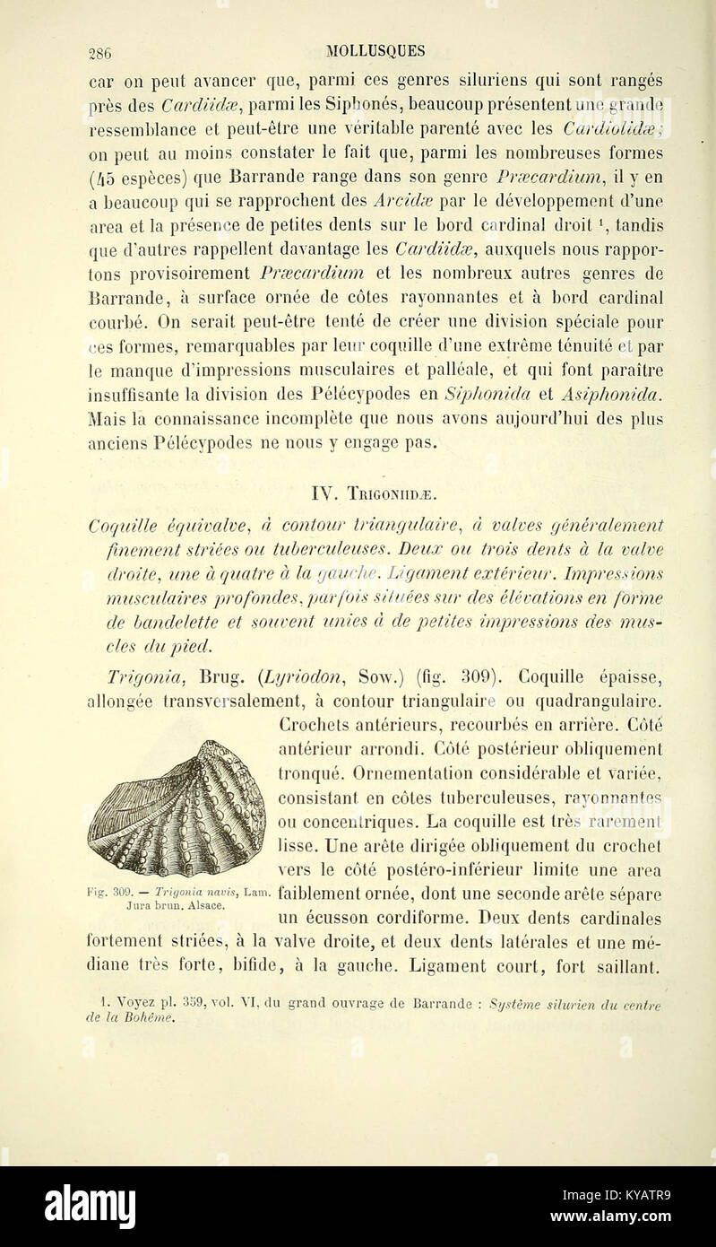 Paleontology scientific study history hi-res stock photography and ...
