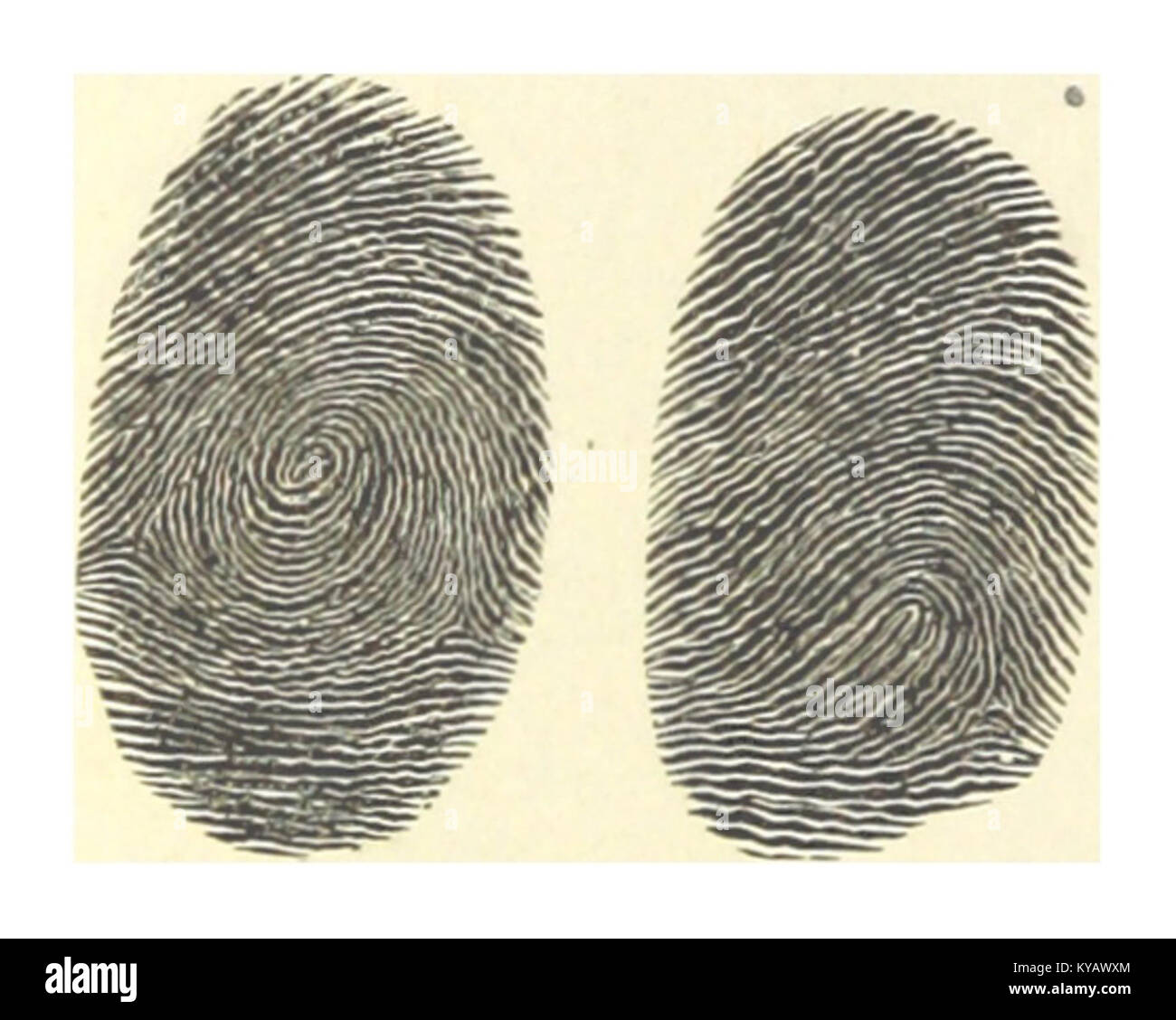 Book of prints Cut Out Stock Images & Pictures - Alamy