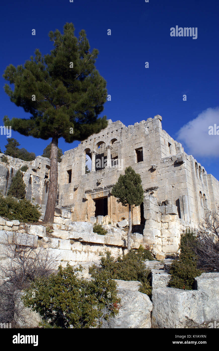 Tree and church in Alahan monastery, south Turkey Stock Photo - Alamy