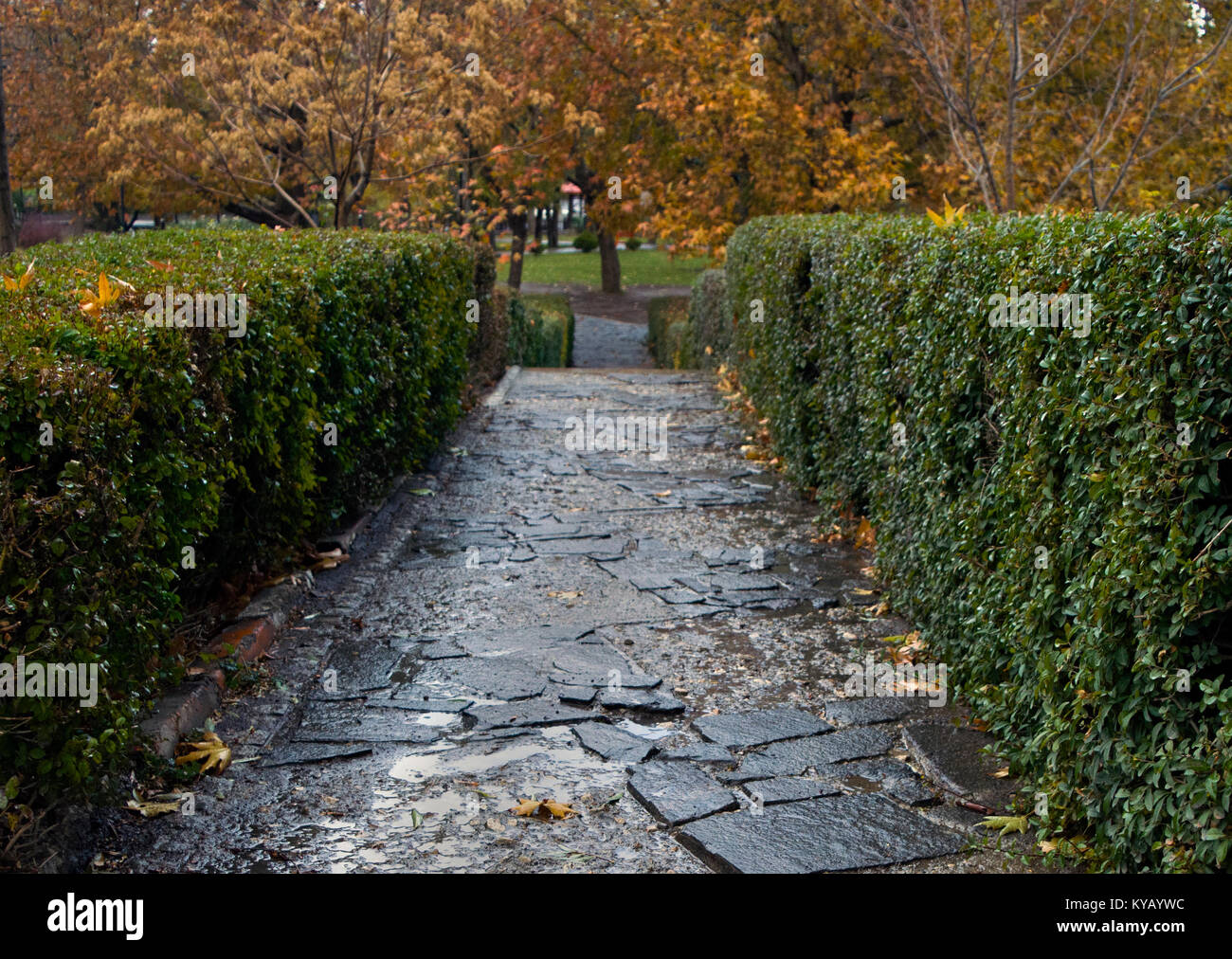 Hamedan hi-res stock photography and images - Alamy