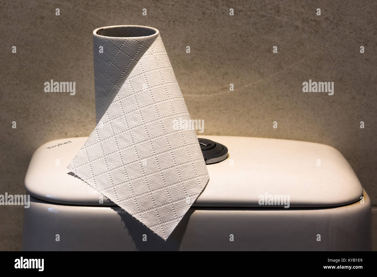 Textured toilet roll on the toilet Stock Photo - Alamy