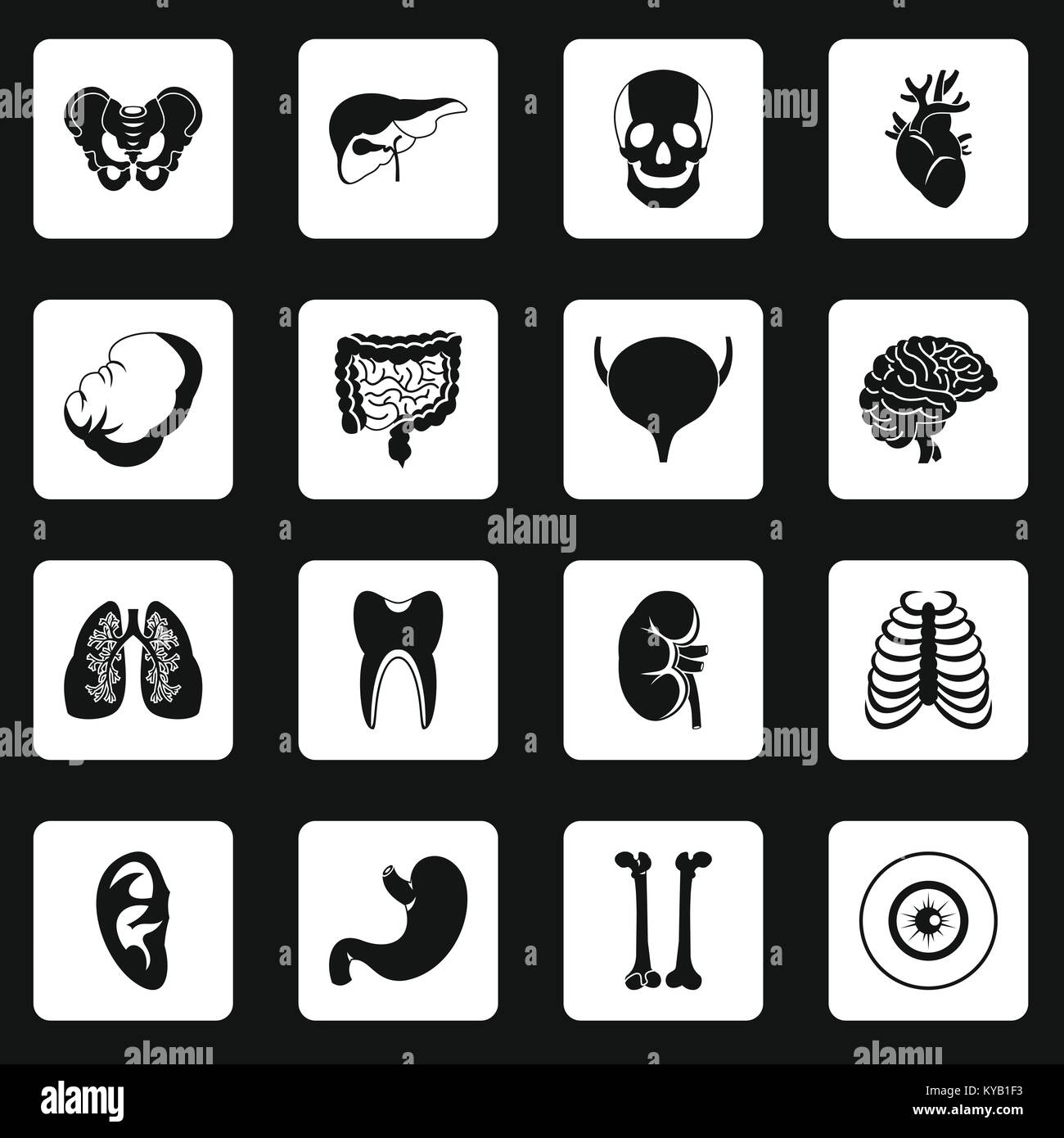 Human organs icons set in white squares on black background simple ...
