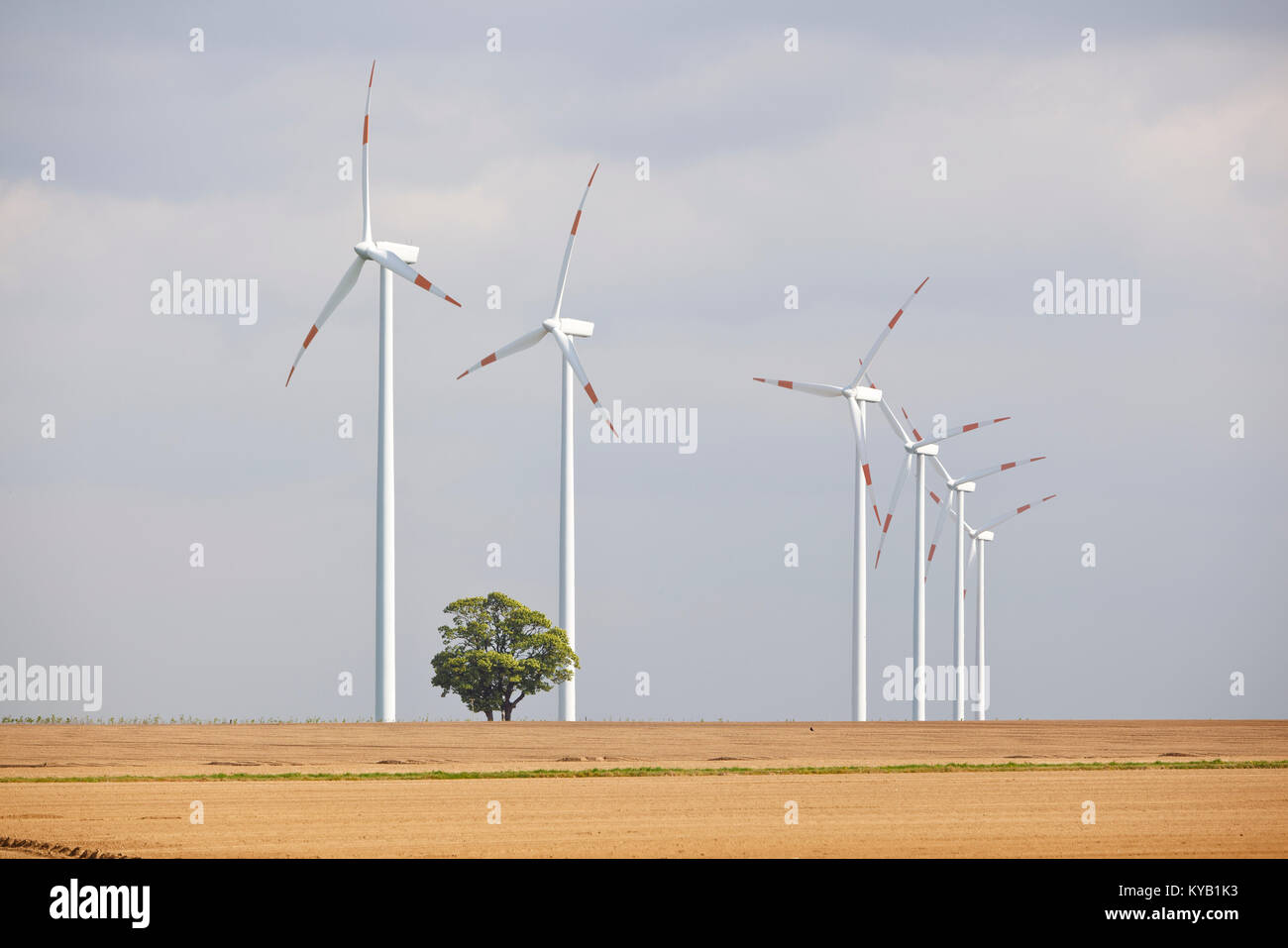 A row of wind turbines in agricultural landscape with a single tree ...