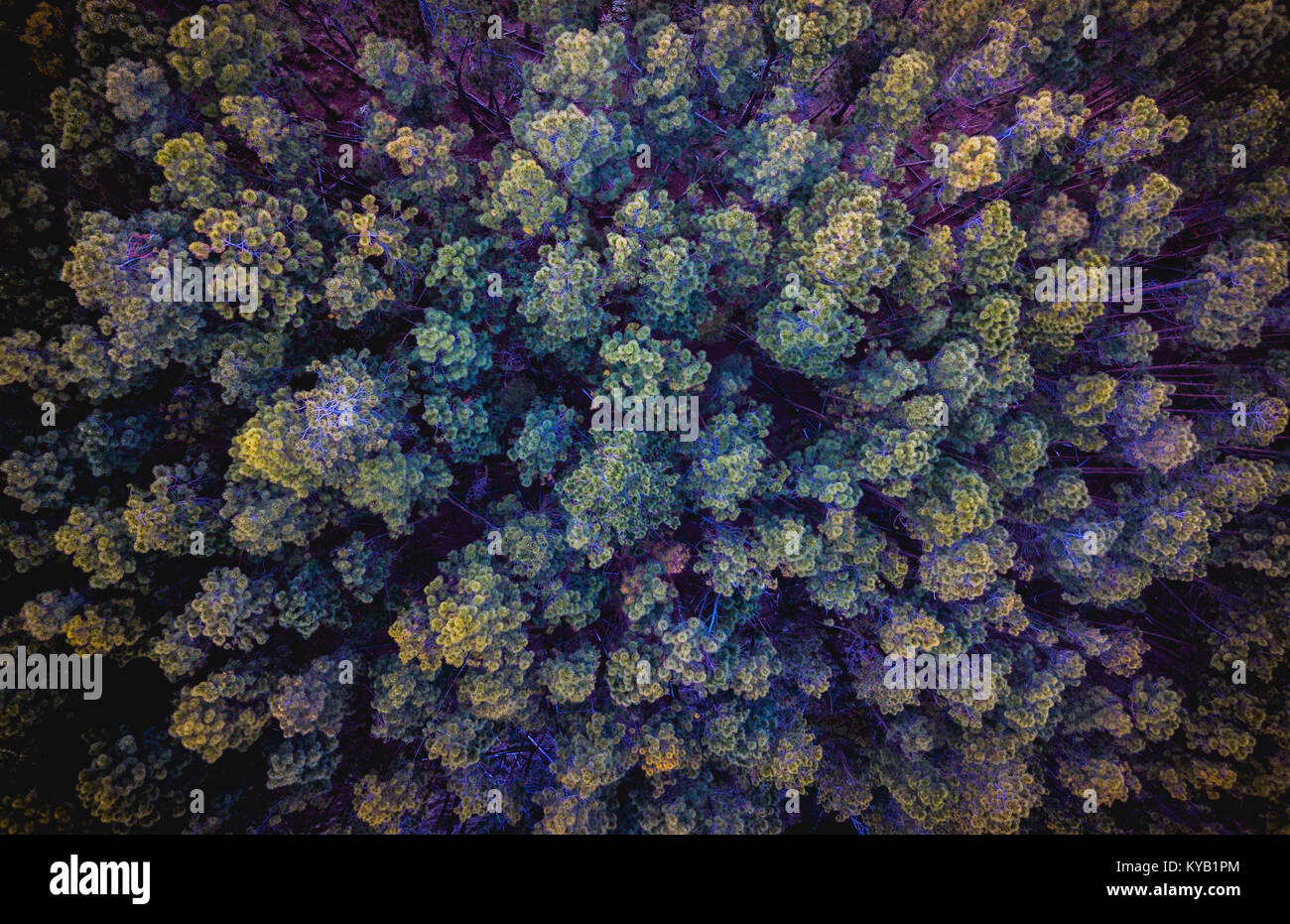 Part of Nature Stock Photo - Alamy