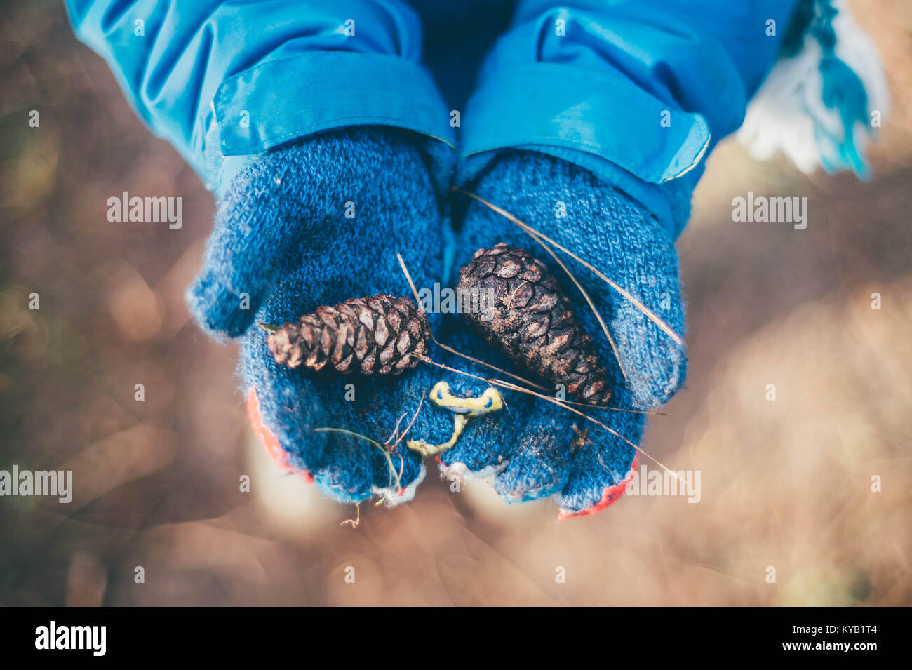 Sunday 14 January 2018 Pictured: 4 or 5 year old boy Young boy holding ...
