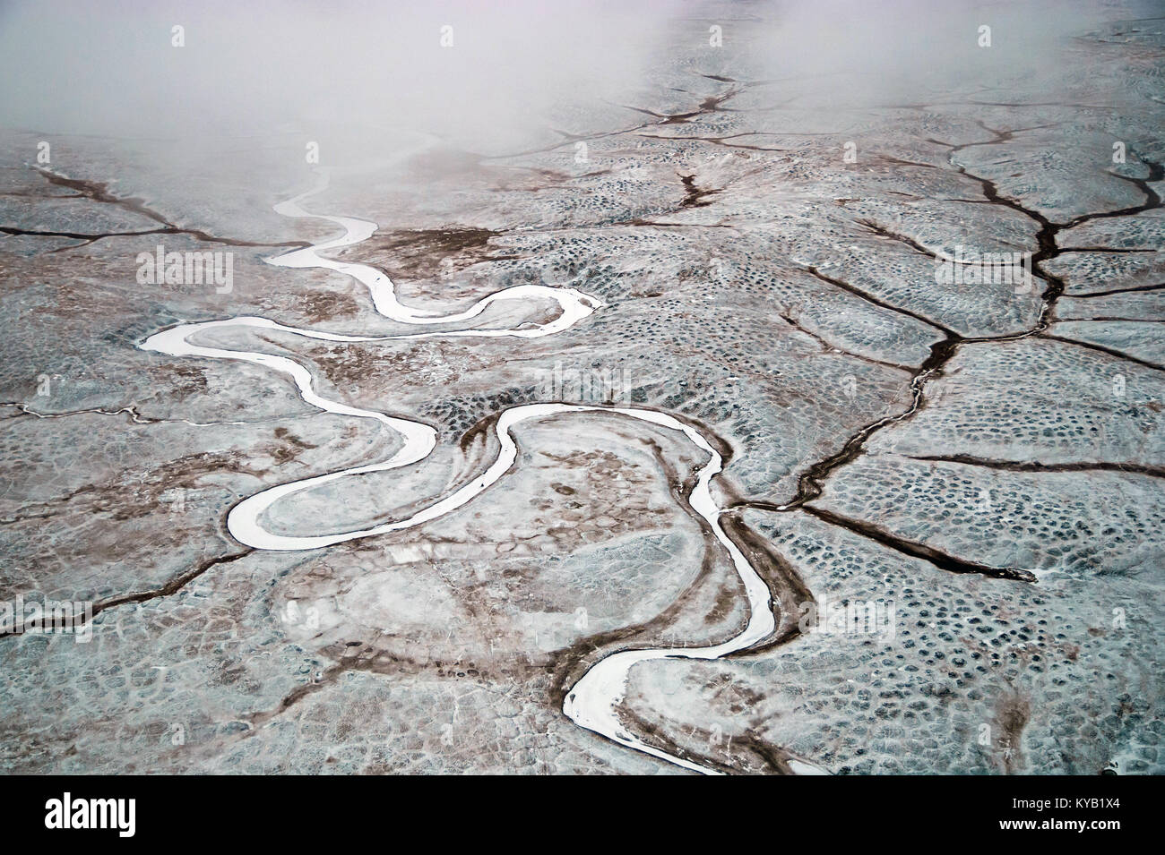 Part of Nature Stock Photo - Alamy