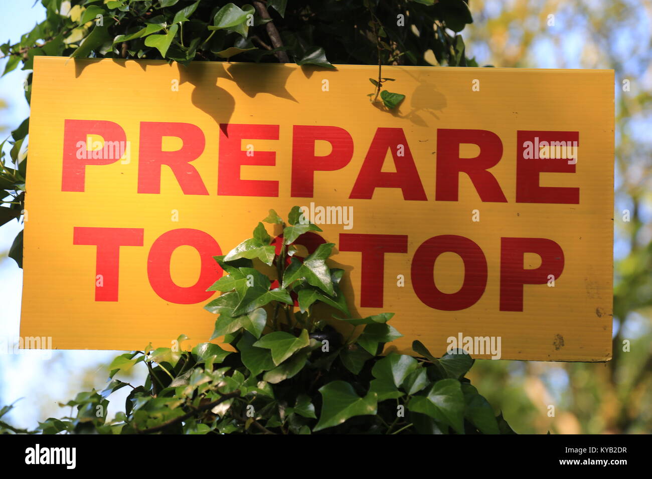 roadside stop sign covered in ivy, county cork, ireland Stock Photo - Alamy
