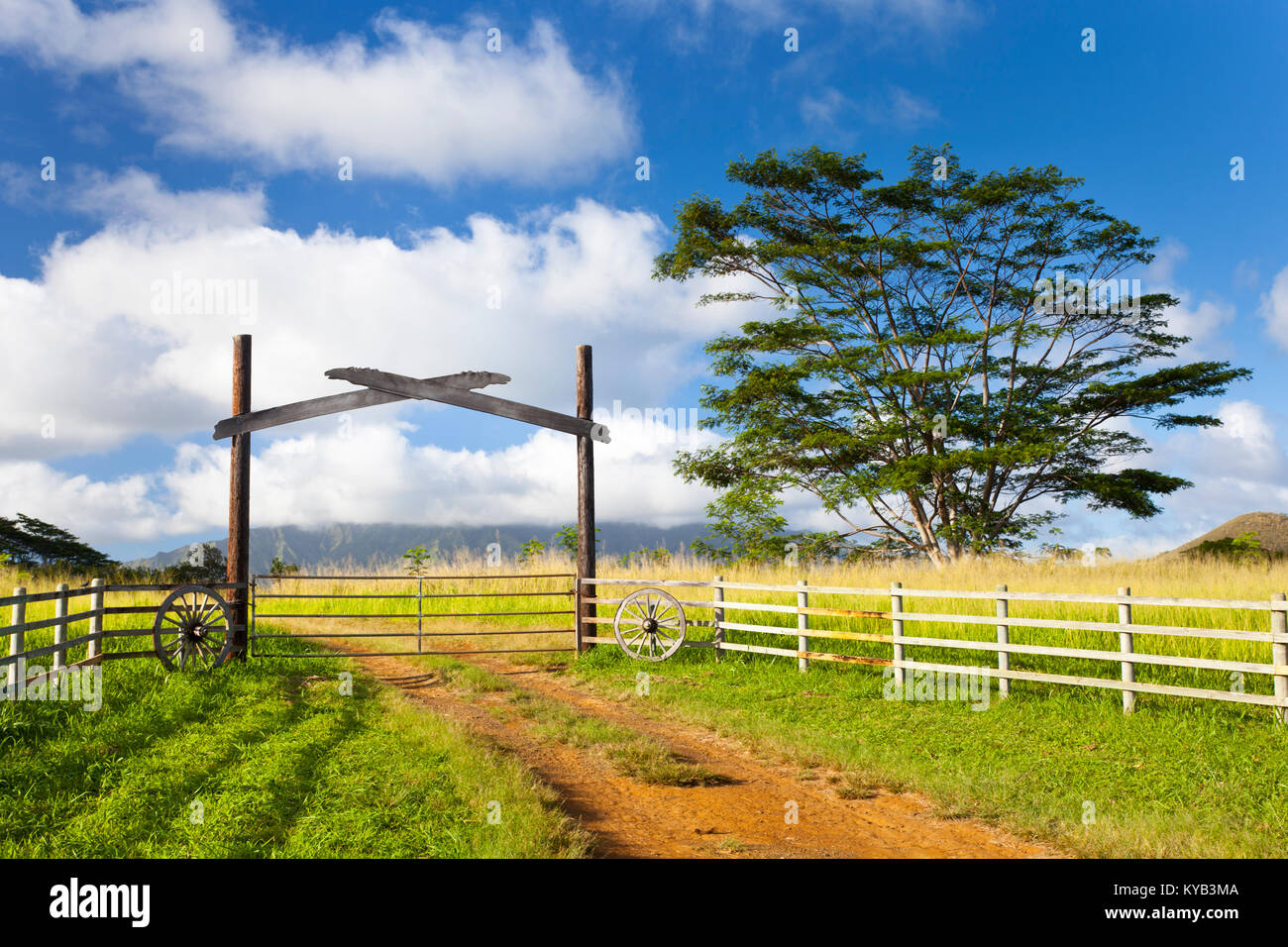 A farm gate near the Wailua Falls in Kauai, Hawaii Stock Photo - Alamy