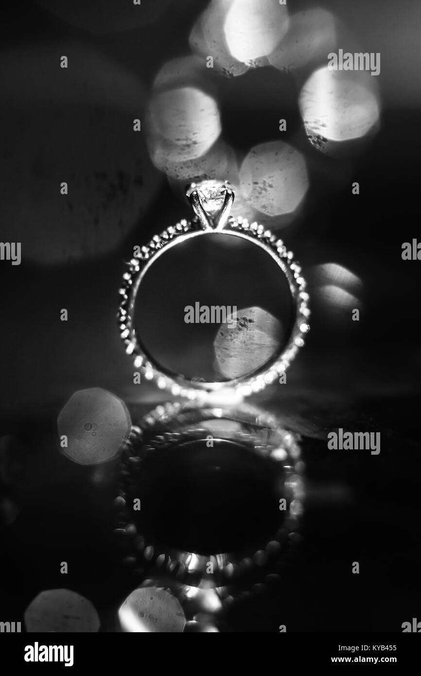 The ring highlights hi-res stock photography and images - Alamy