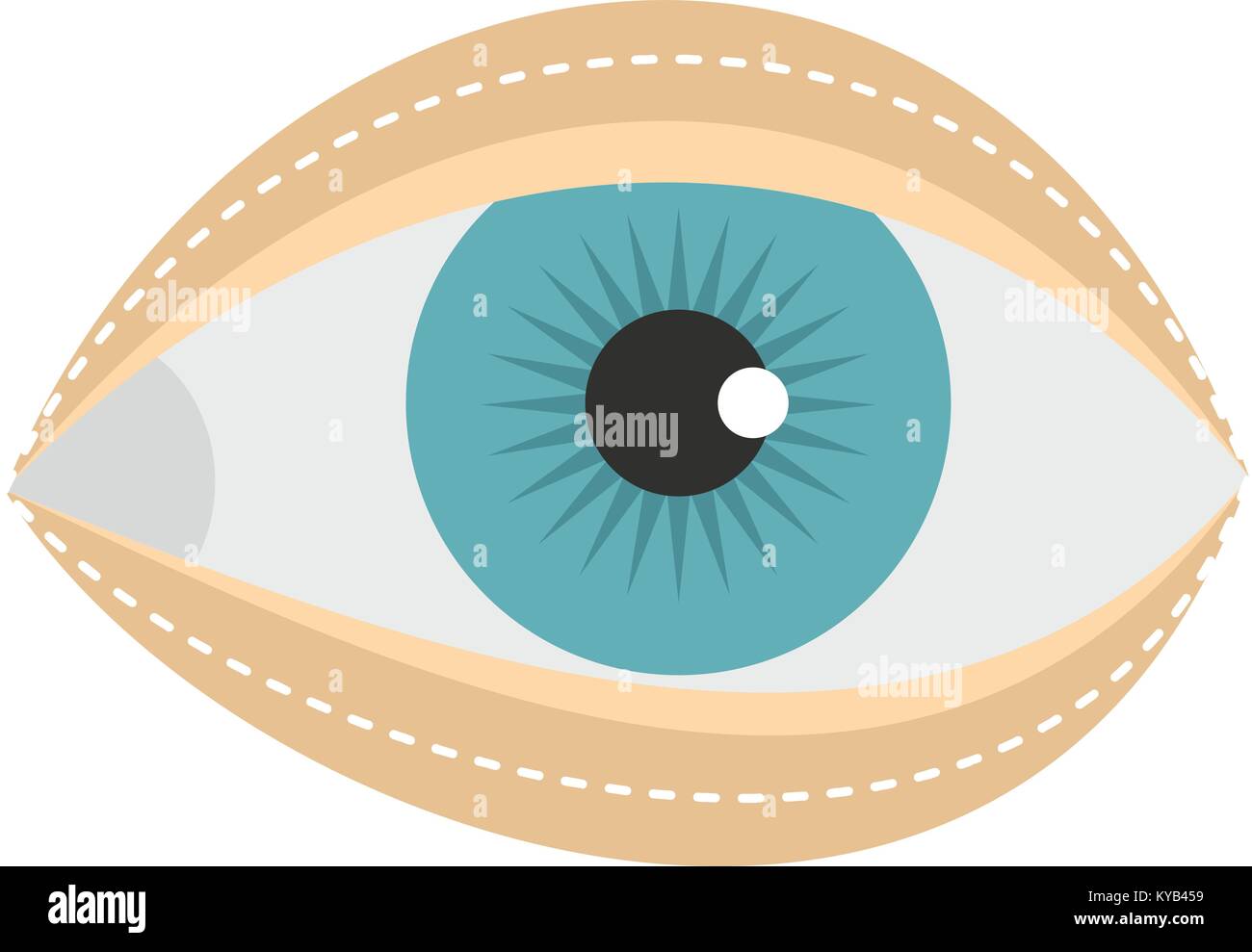 Blepharoplasty icon flat isolated on white background vector ...