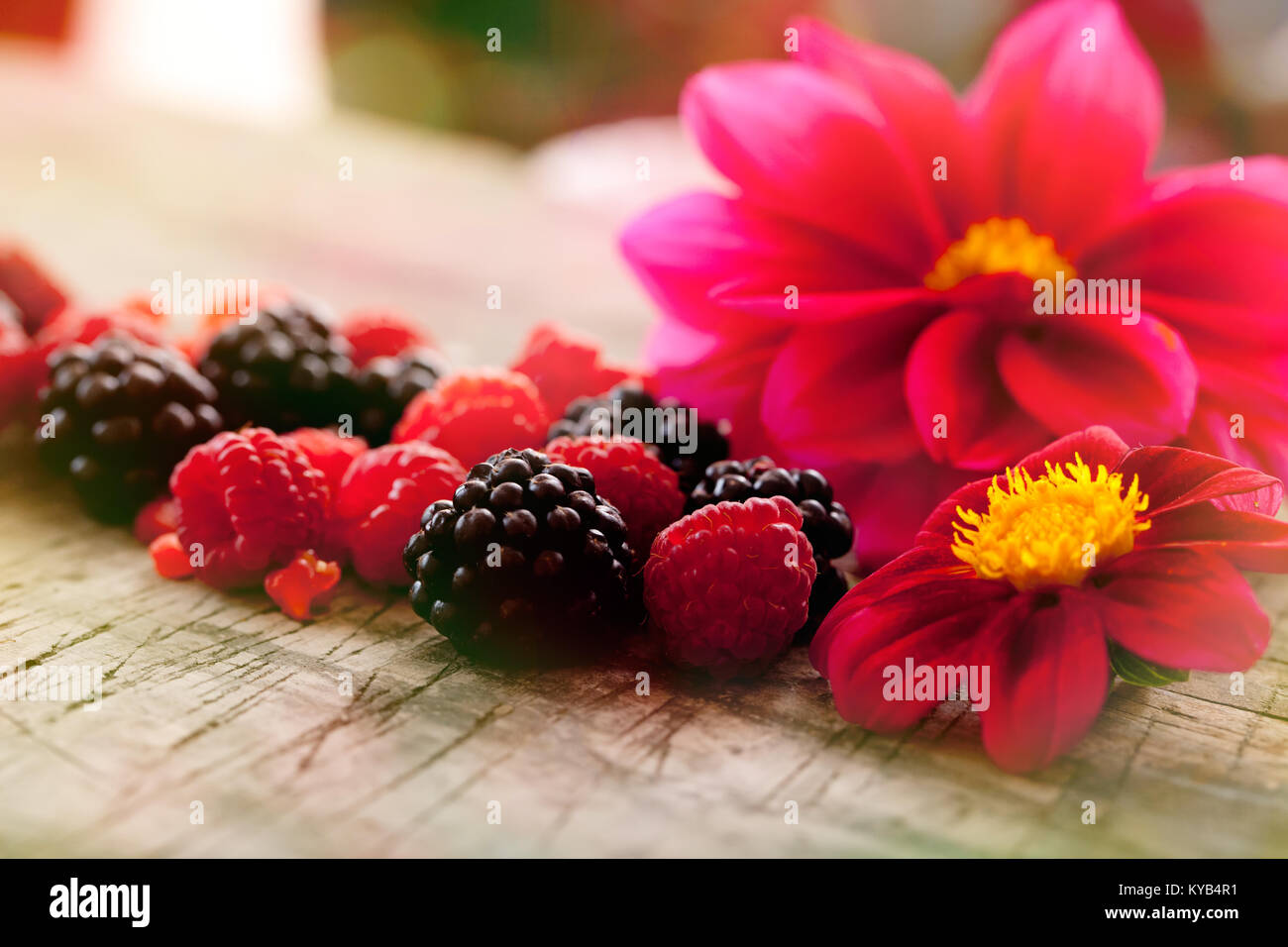 Decorative corner frame or border with red raspberry fruits and flowers ...