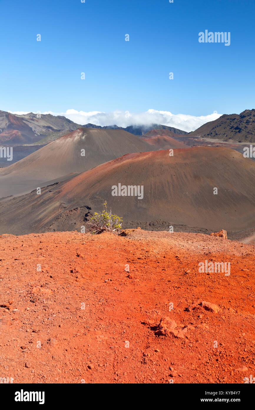 View from a red cinder cone into the colorful Haleakala Crater in Maui ...