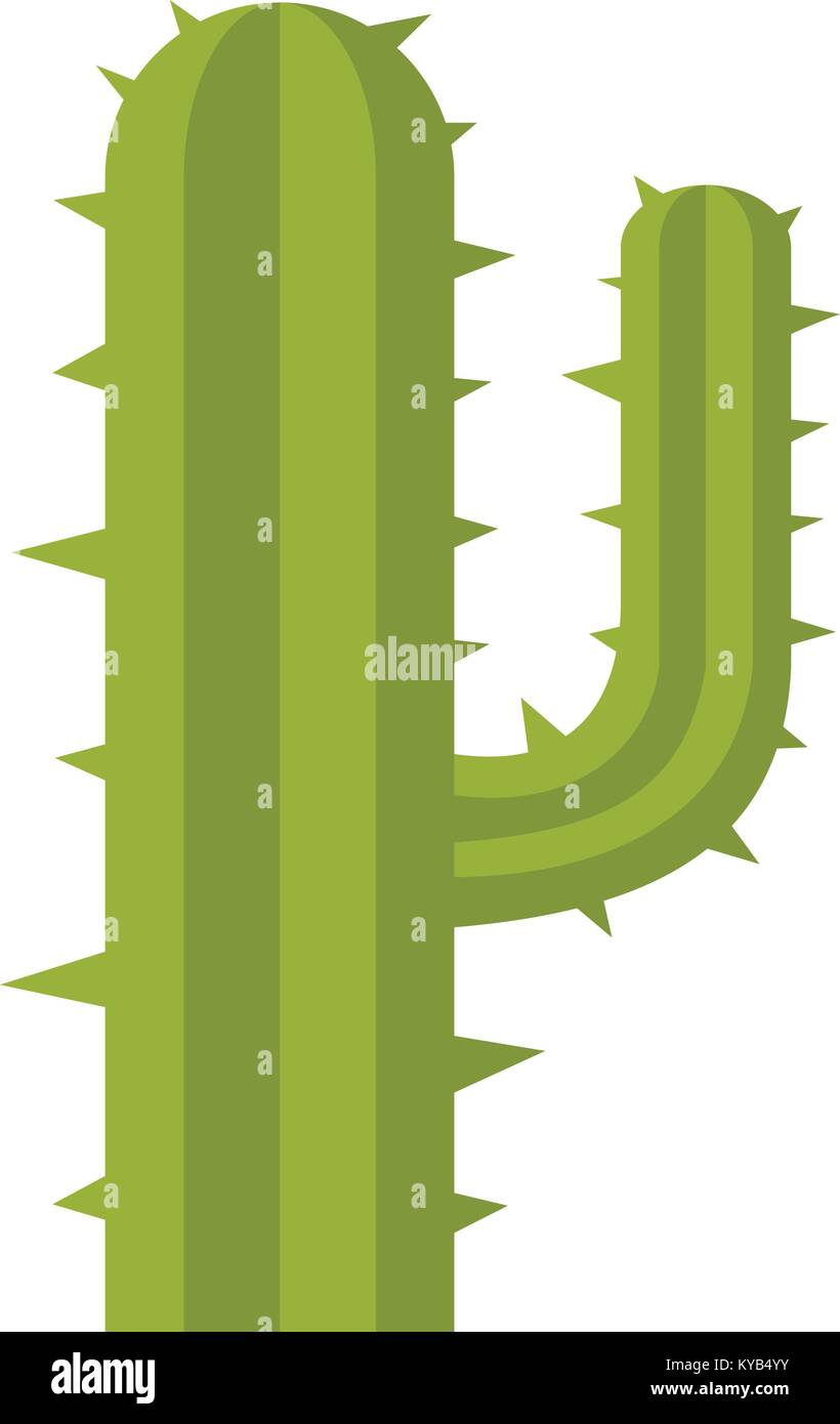Green mexican cactus icon flat isolated on white background vector ...