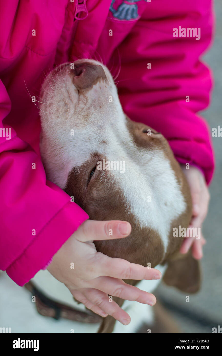 Children and pit bull hi-res stock photography and images - Alamy