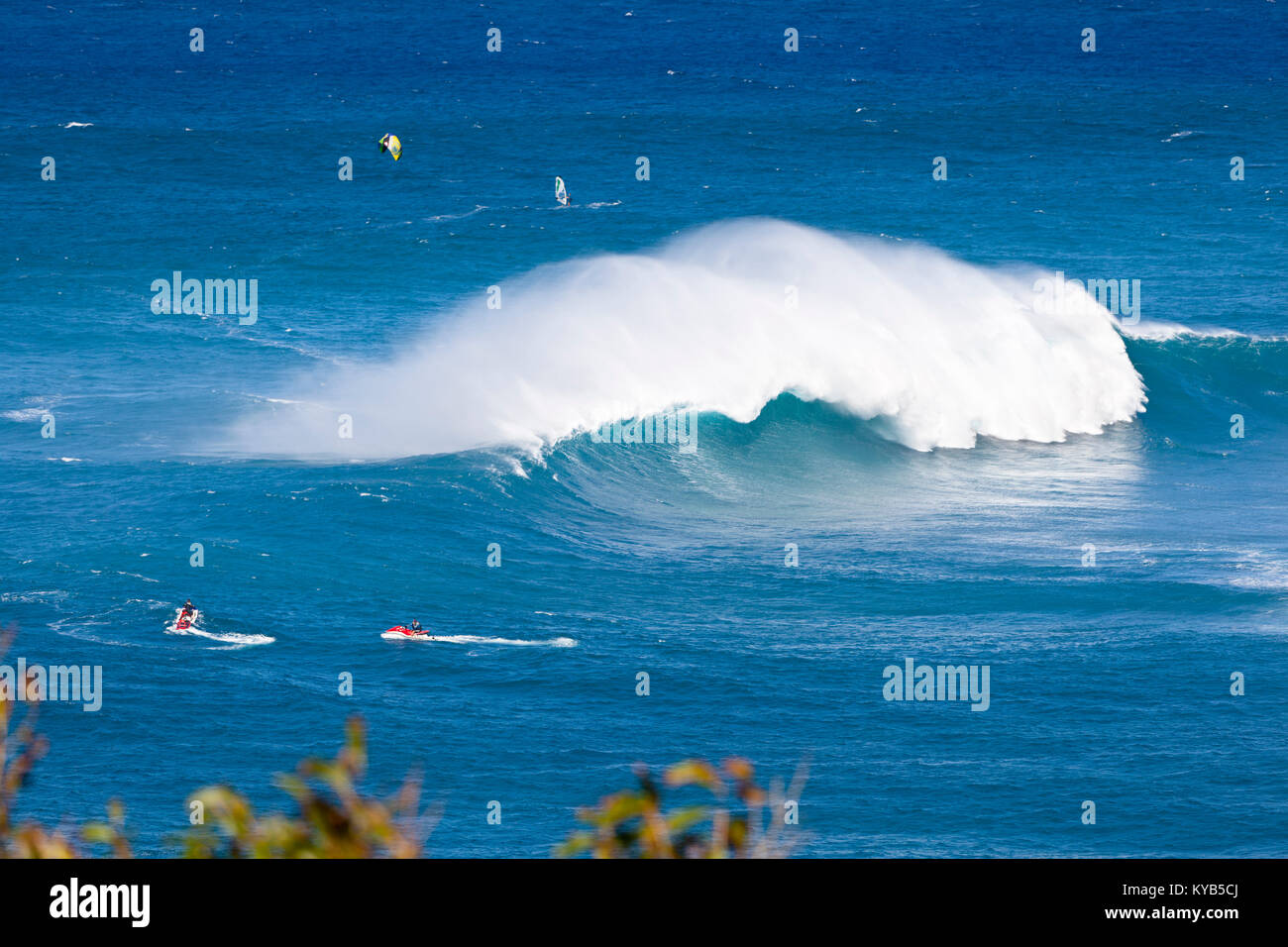 A tall wave at Peahi also known as Jaws in Maui, Hawaii Stock Photo - Alamy
