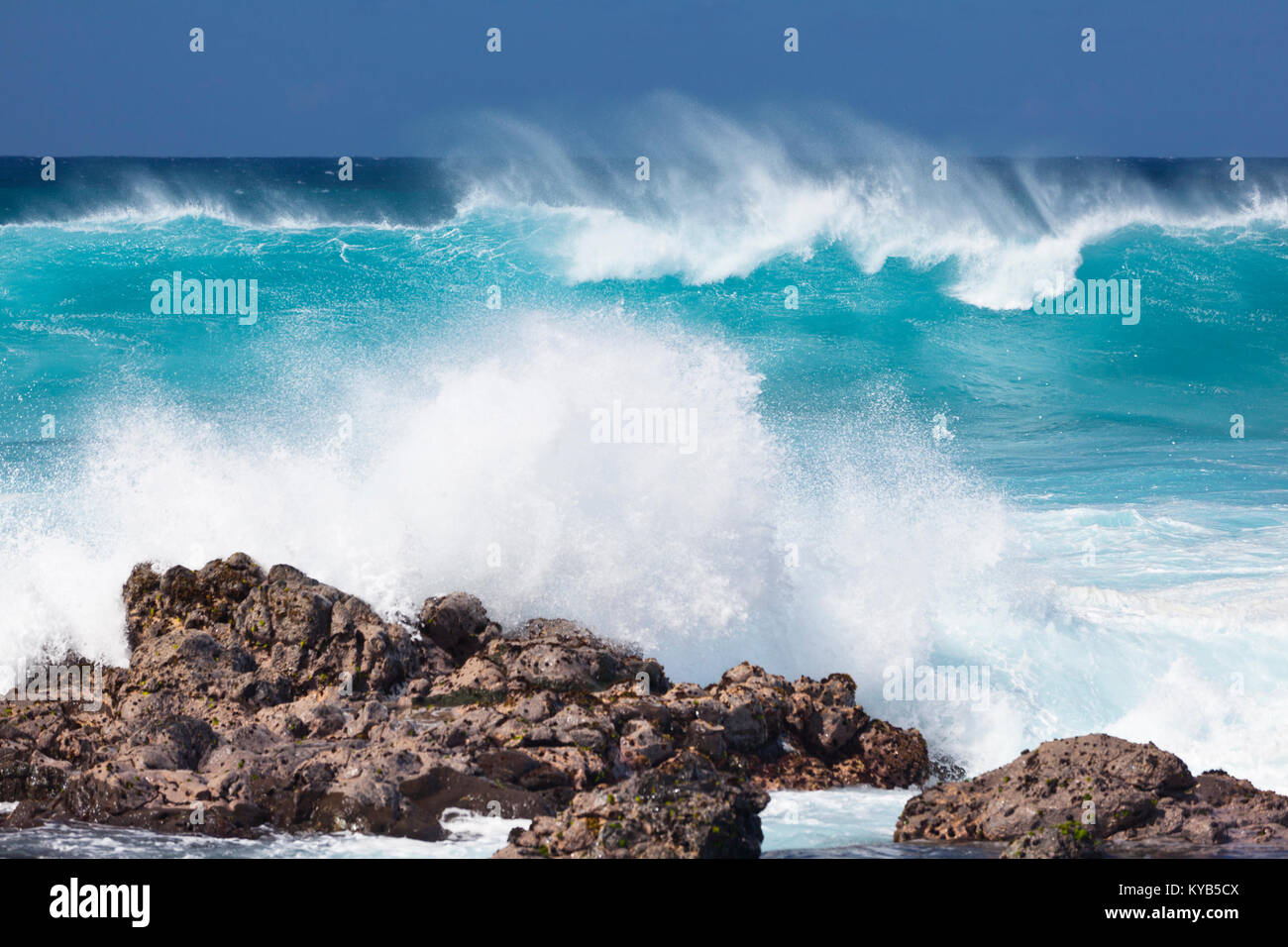 Tall waves at Hookipa in Maui, Hawaii Stock Photo - Alamy