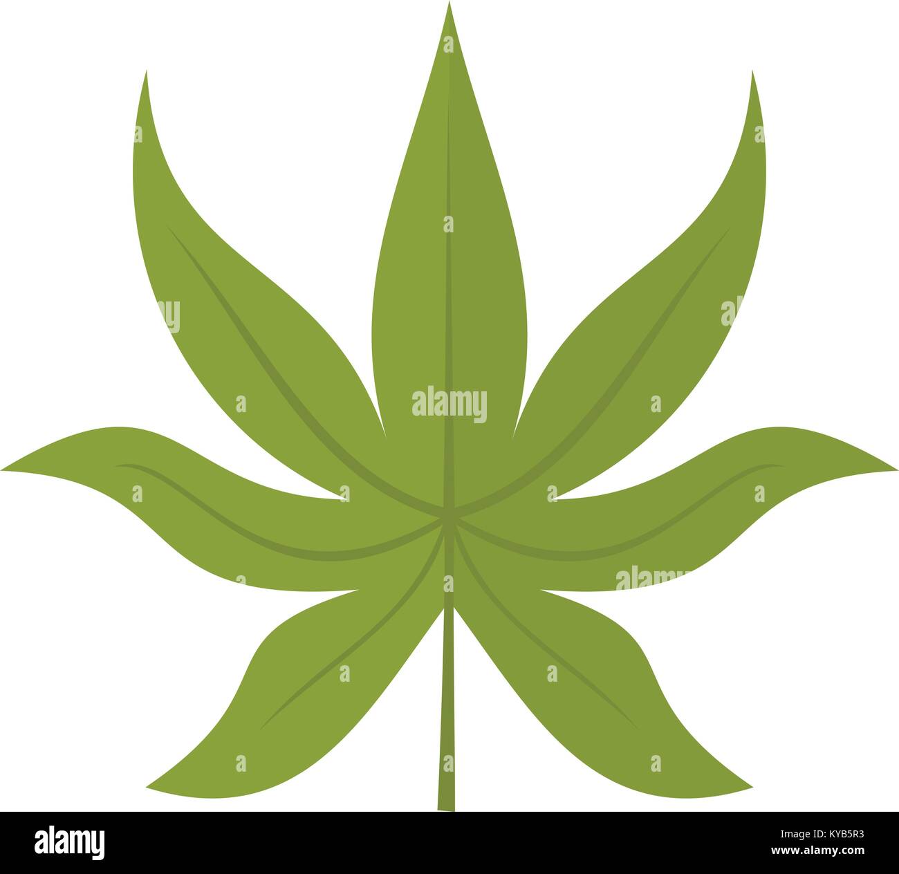 Green chestnut leaf icon isolated Stock Vector Image & Art - Alamy