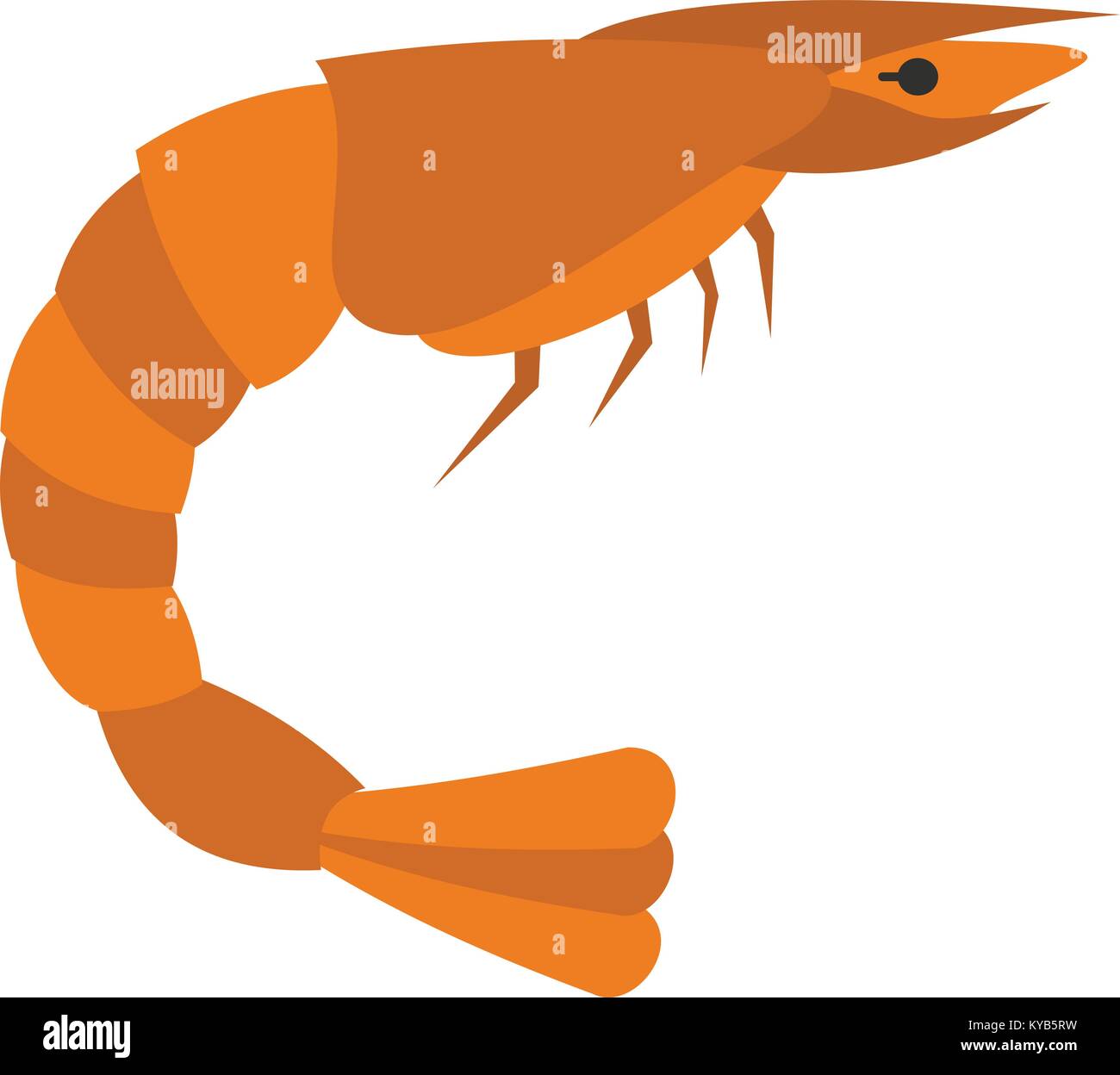 Shrimp Tail Icon