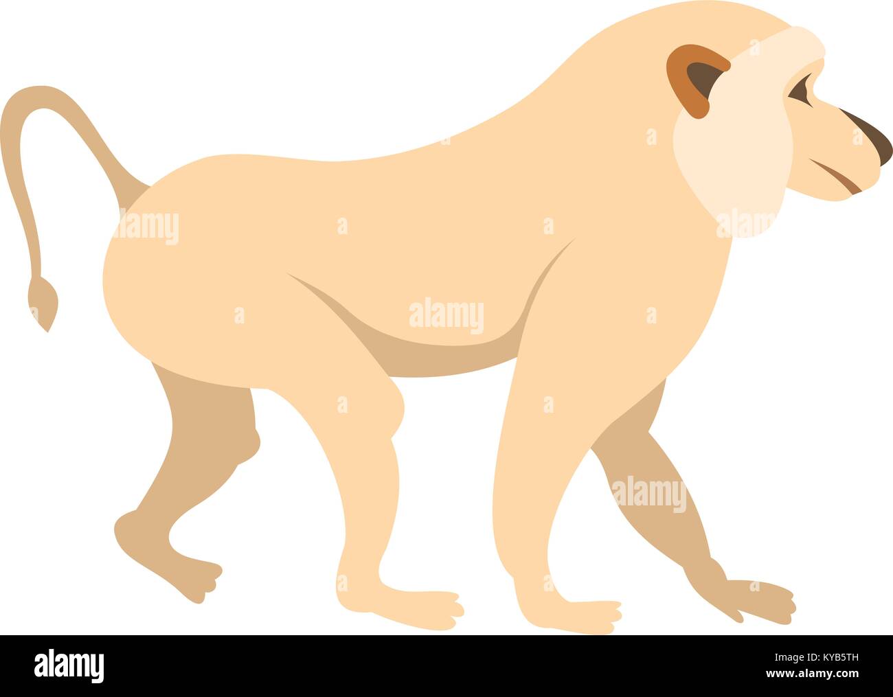 Japanese macaque icon isolated Stock Vector Image & Art - Alamy