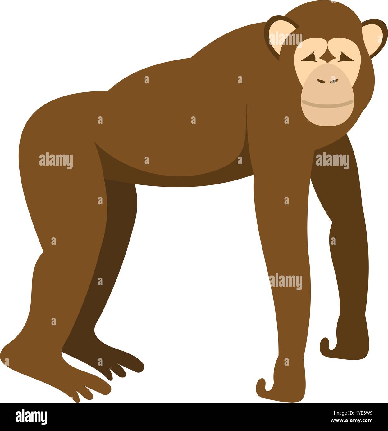 Monkey legs Stock Vector Images - Alamy