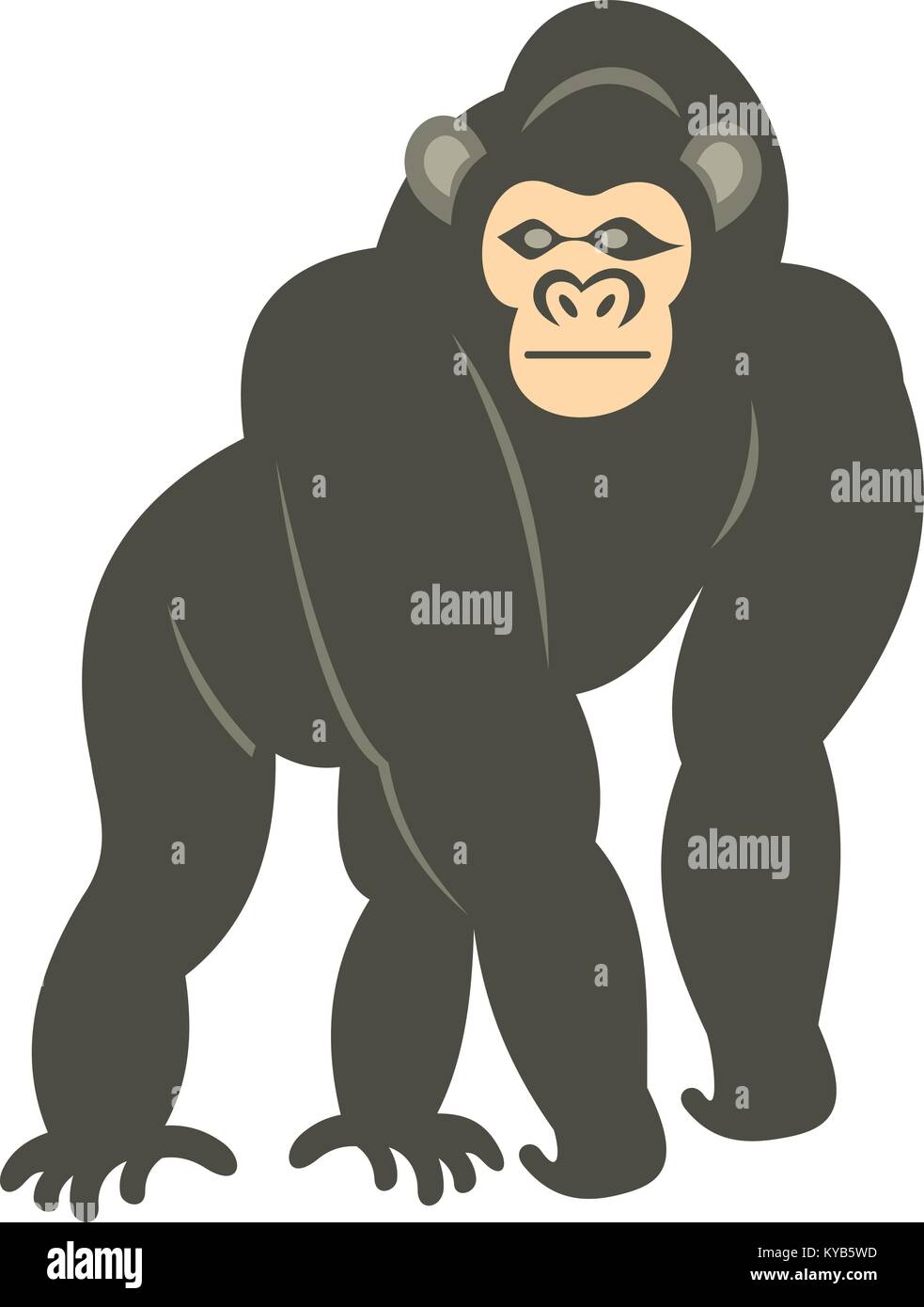 Walking bonobo hi-res stock photography and images - Alamy