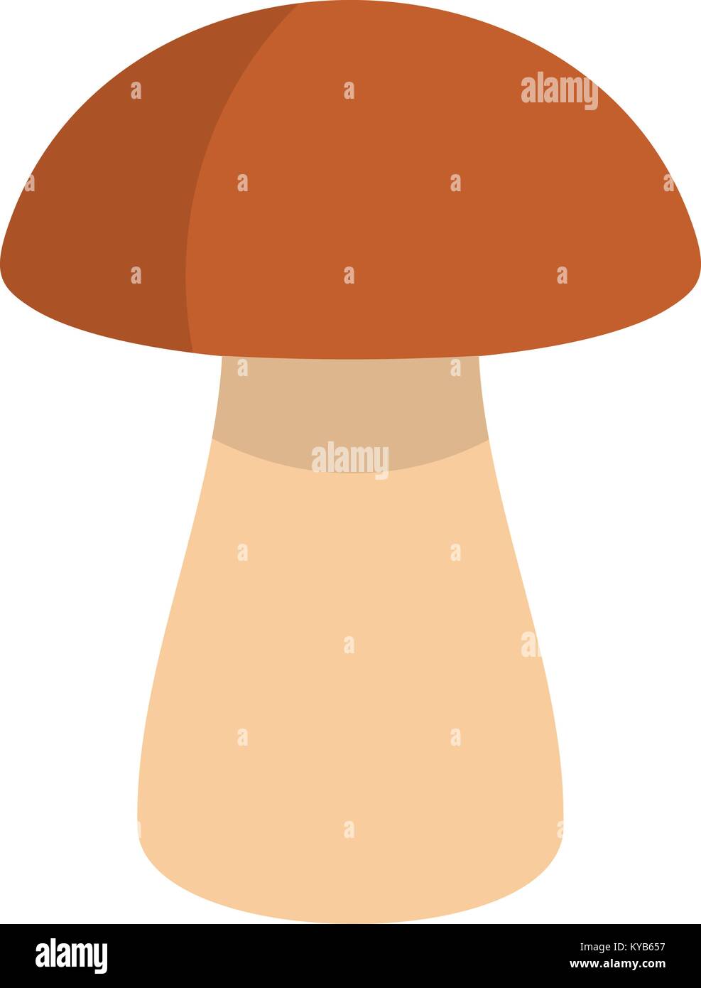 Fungus boletus icon isolated Stock Vector Image & Art - Alamy