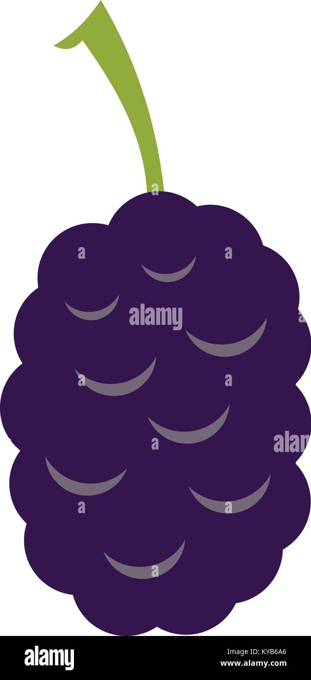 Mulberry sign Stock Vector Images - Alamy