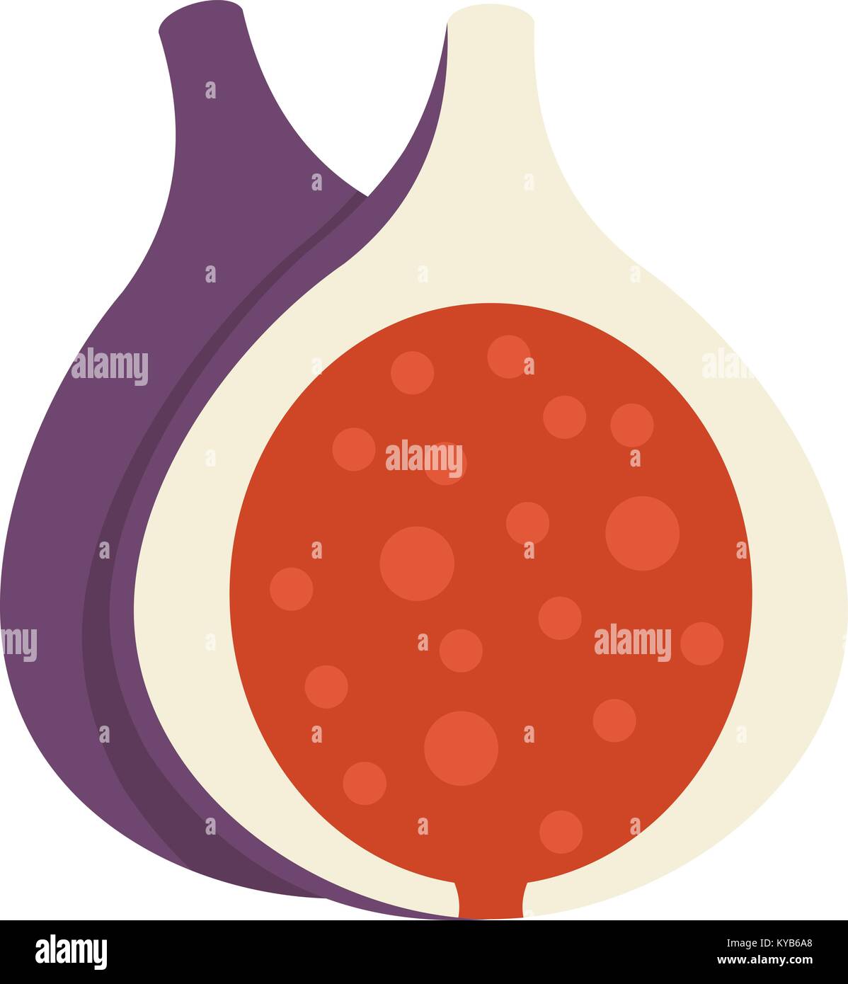 Half of fig fruit icon isolated Stock Vector Image & Art - Alamy
