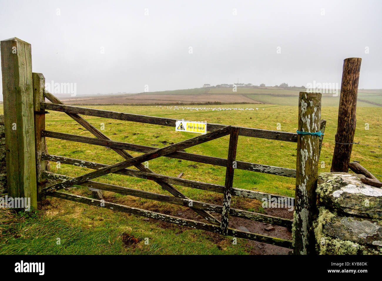 A gate with a bull warning sign at the entrance to a field full of ...