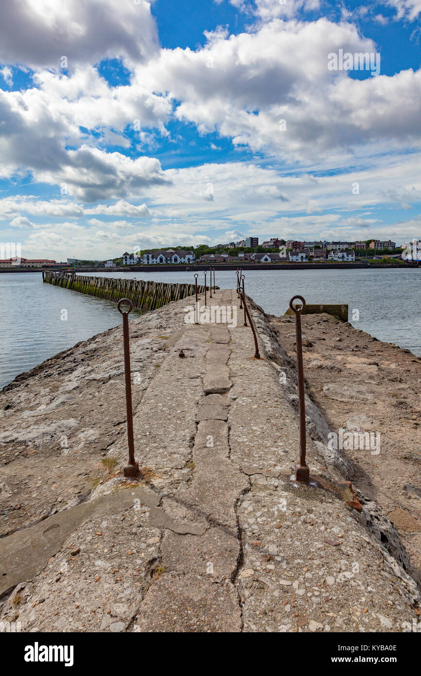 Wooden piles breakwater hi-res stock photography and images - Alamy
