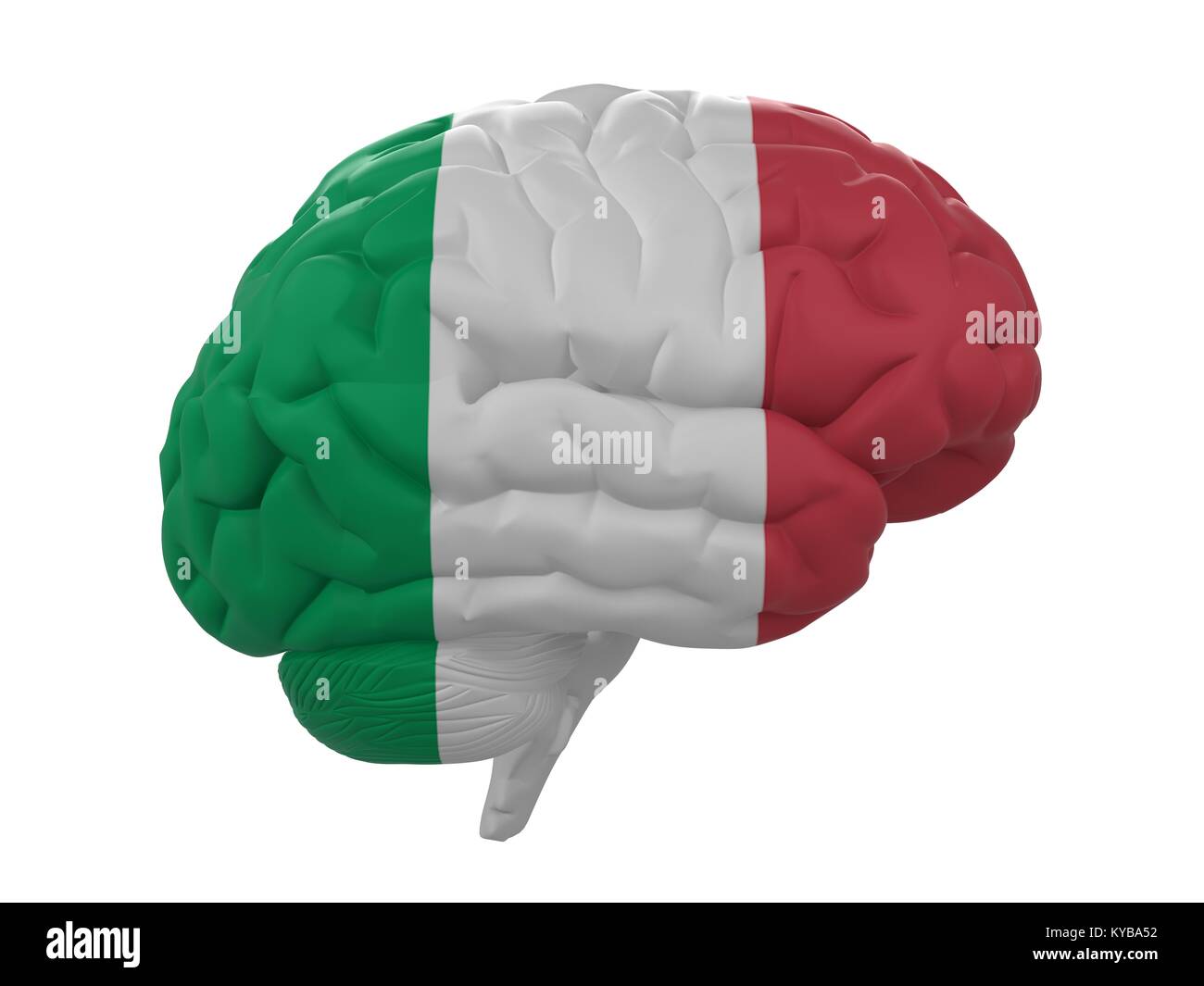 human brain is colored flag of Italy. 3d rendering Stock Photo - Alamy