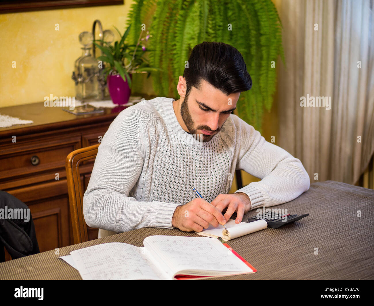 Handsome man accounting at table Stock Photo - Alamy