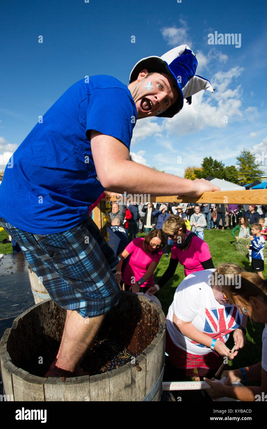 Competitors in the grape stomp celebrating at the annual Festival of ...