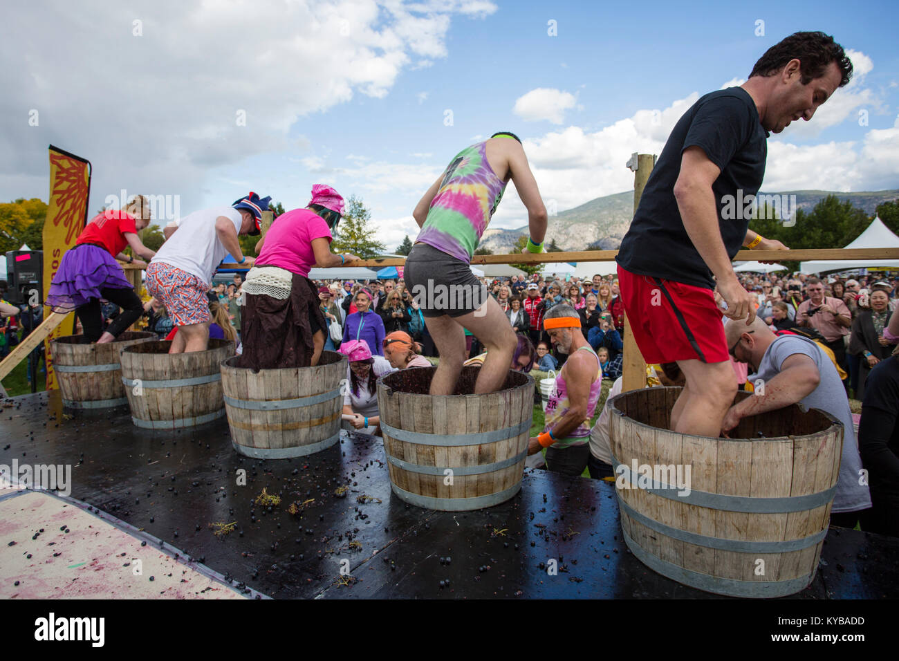 Canadian comdeian Rick Mercher in the grape stomp celebrating at the ...