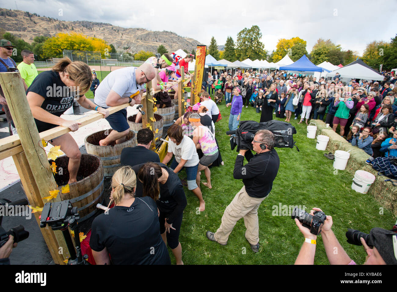 Canadian comdeian Rick Mercher in the grape stomp celebrating at the ...
