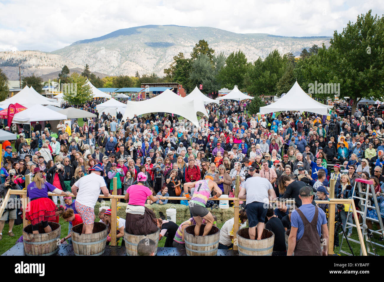 Competitors in the grape stomp celebrating at the annual Festival of ...