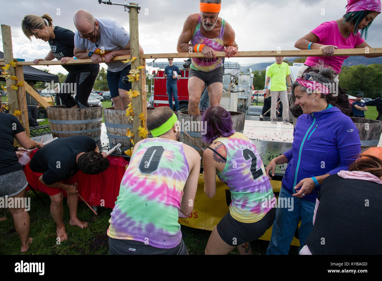 Canadian comdeian Rick Mercher in the grape stomp celebrating at the ...