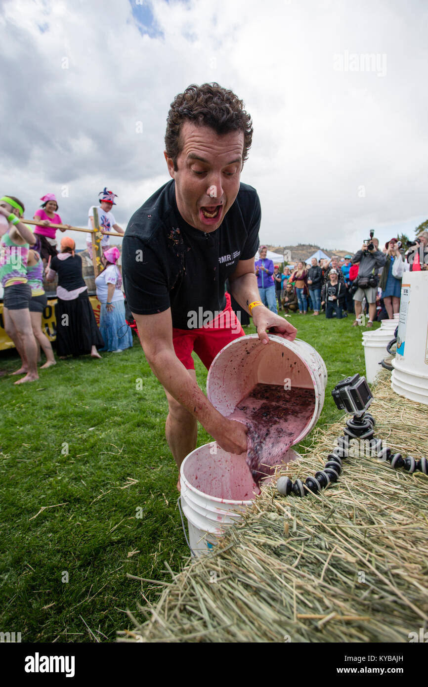 Canadian comdeian Rick Mercher in the grape stomp celebrating at the ...