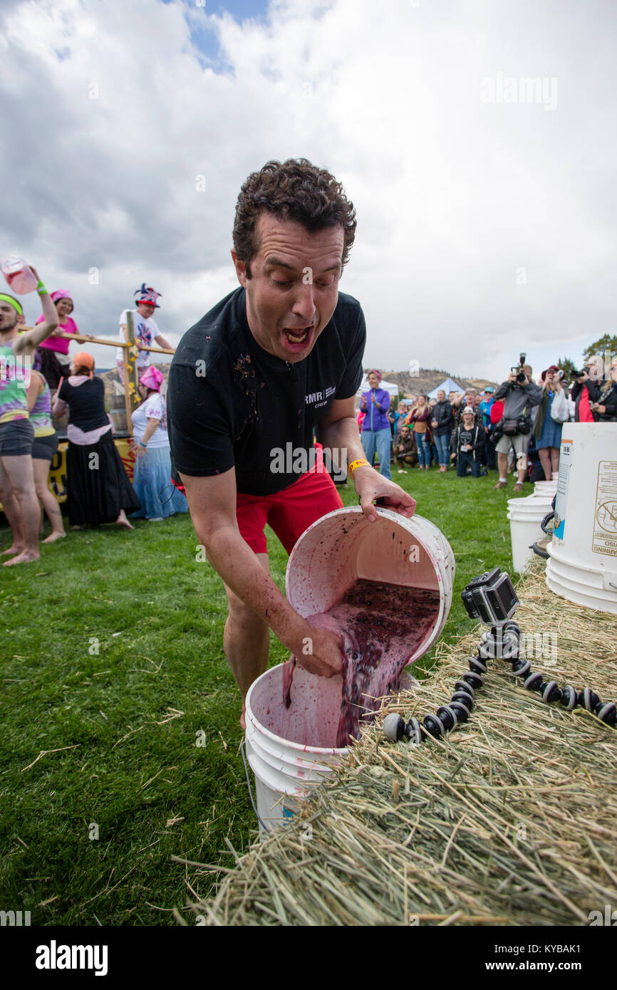 Canadian comdeian Rick Mercher in the grape stomp celebrating at the ...