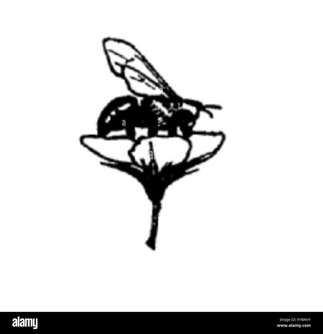 Heritage imprint Cut Out Stock Images & Pictures - Alamy