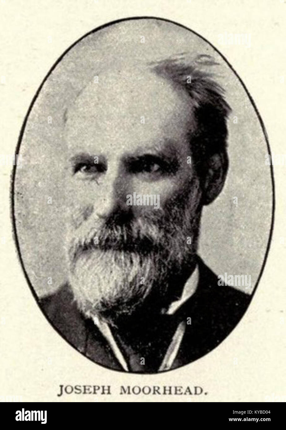 McLaurin(1902) pic.230 Joseph MOORHEAD Stock Photo - Alamy