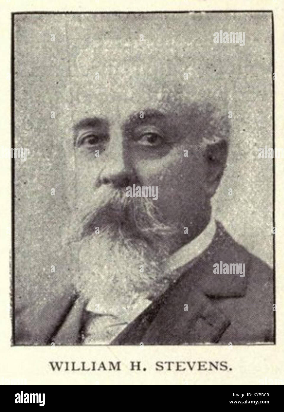 McLaurin(1902) pic.258 William H. STEVENS Stock Photo - Alamy