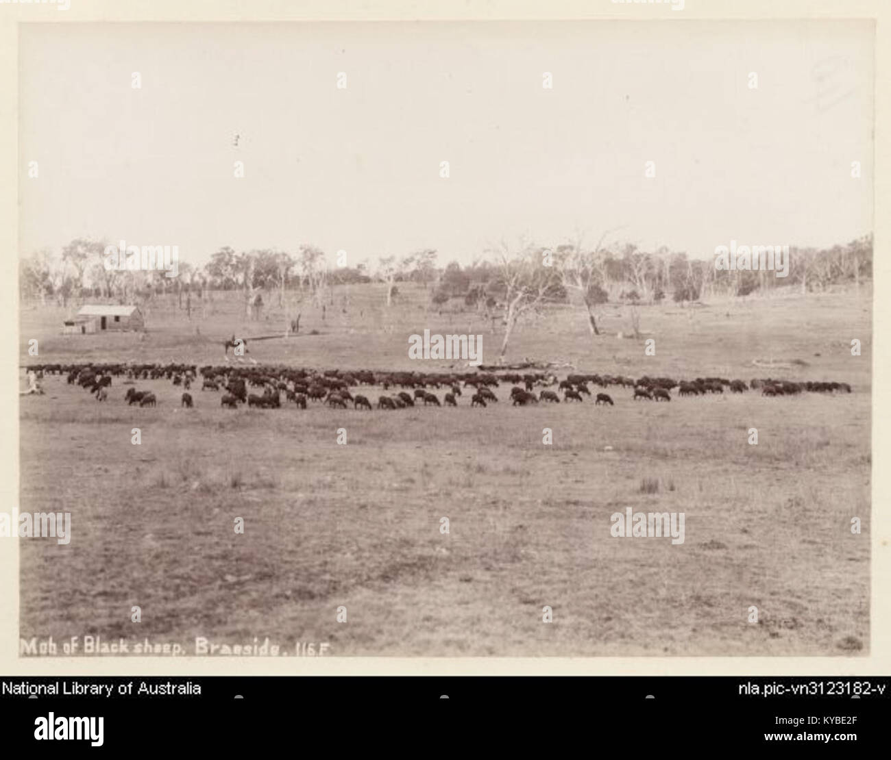 Braeside hi-res stock photography and images - Alamy