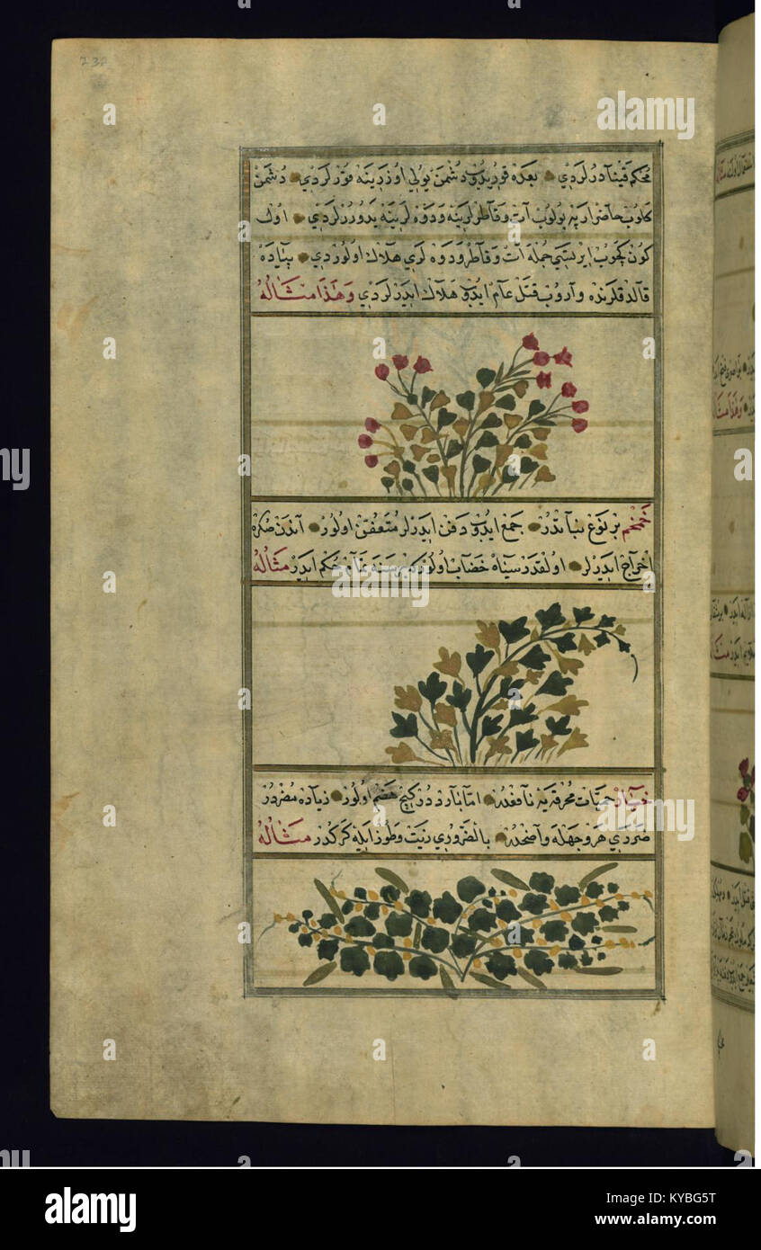 Muhammad ibn Muhammad Shakir Ruzmah-'i Nathani - A Poisonous Plant ...