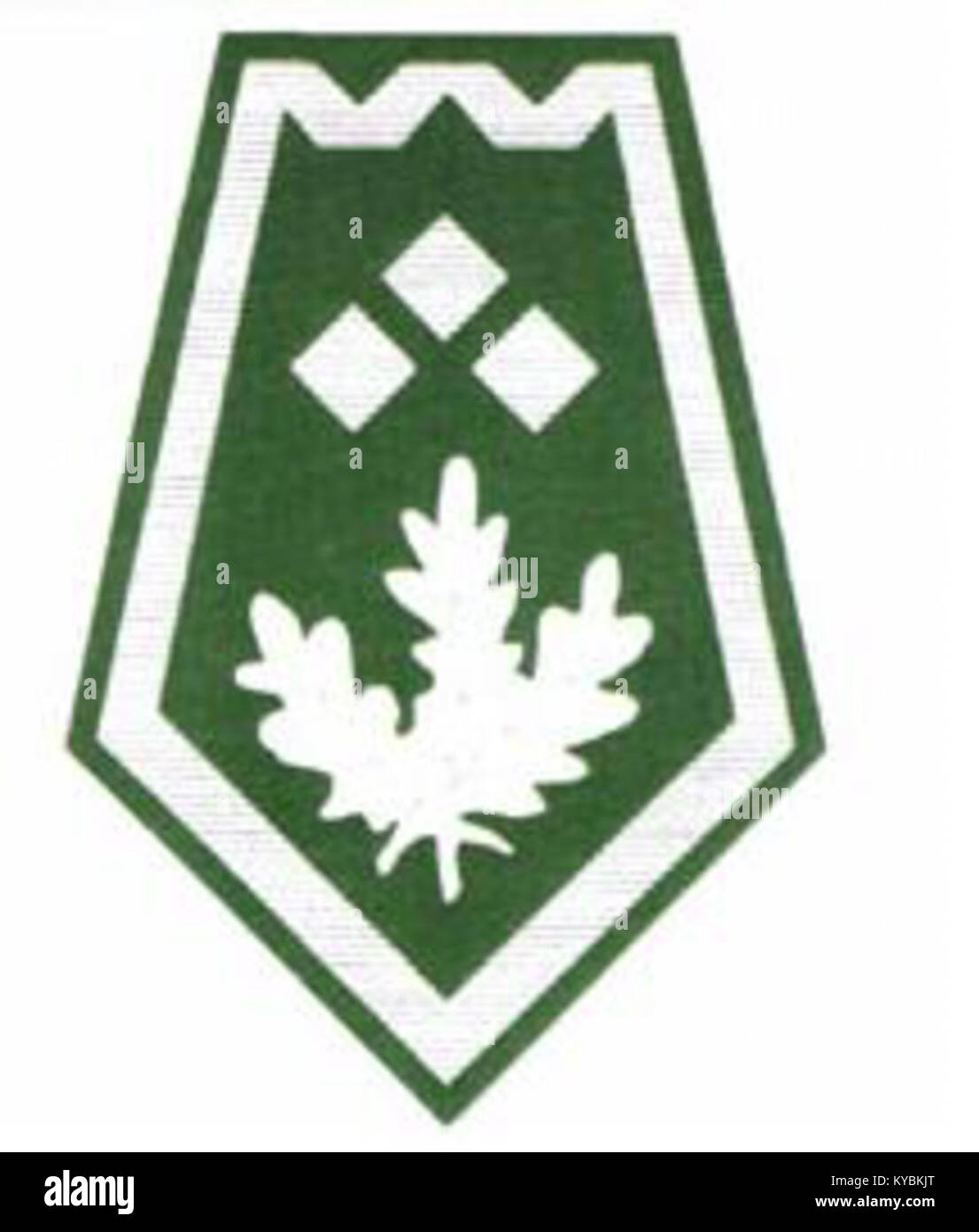 Nadlesniczy refers to the title of a forest manager or supervisor in ...