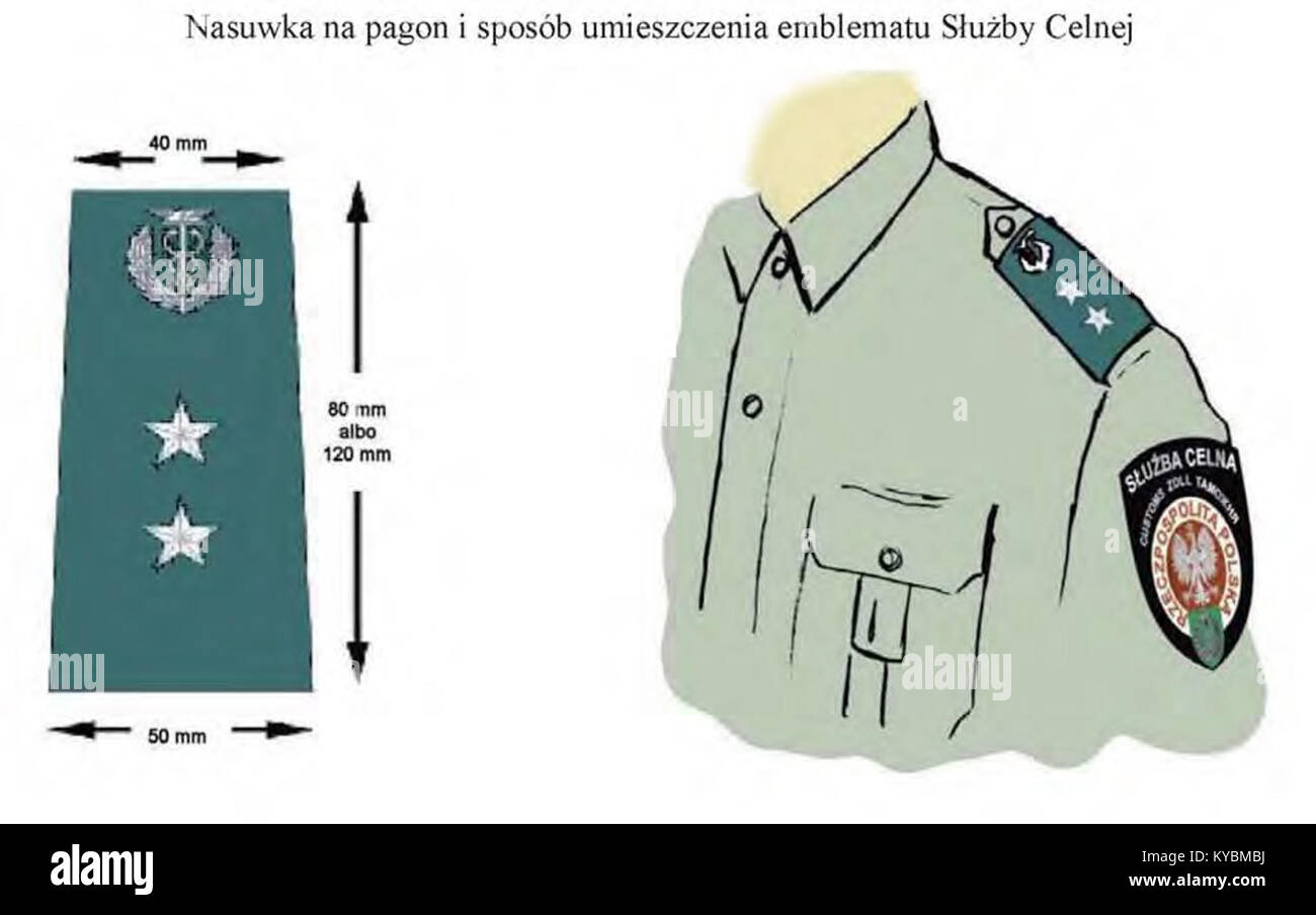 An instructional image showing the shoulder insignia design and ...